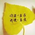 天涯彼岸花开 