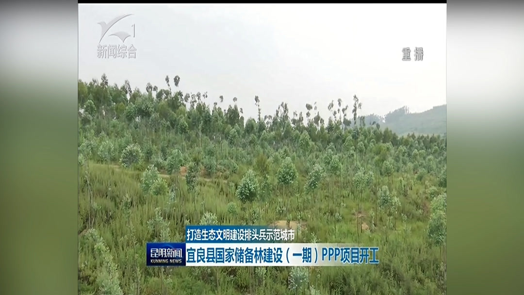 宜良县国家储备林建设(一期)PPP项目开工