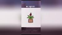 会写字的快来学这个简笔画_