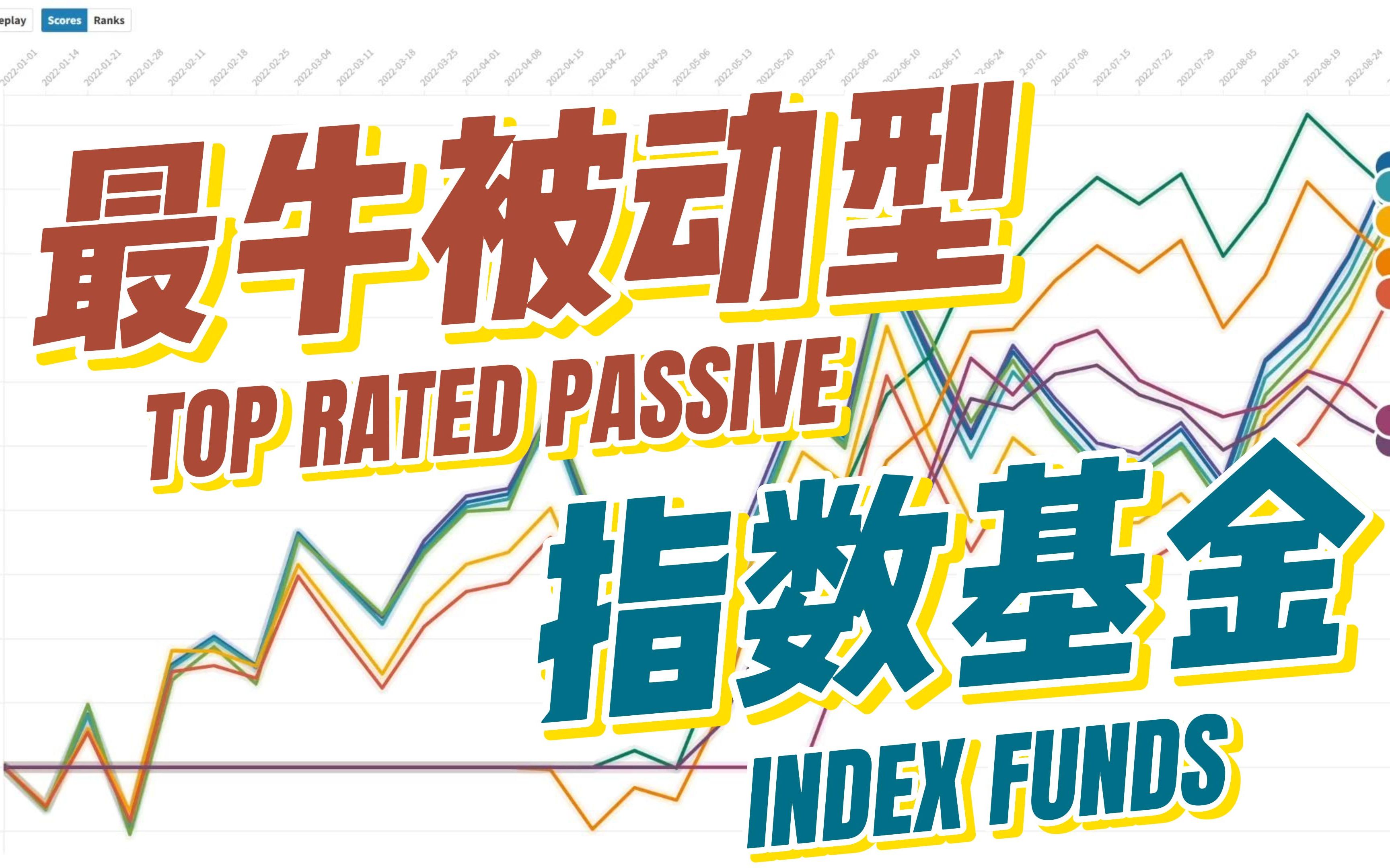 最牛被动型股票指数基金