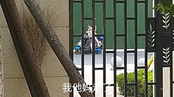 送走的仓鼠 主人不舍 偷偷望着他们 仓鼠:我也舍不得你呜呜呜