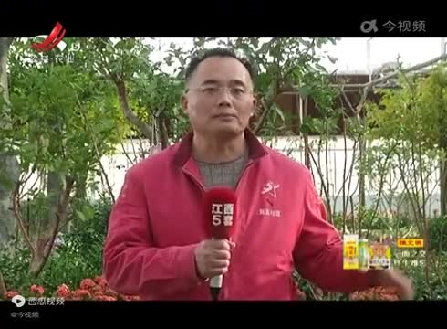 “元宇宙+农业” 南昌打造VR数字农业示范基地