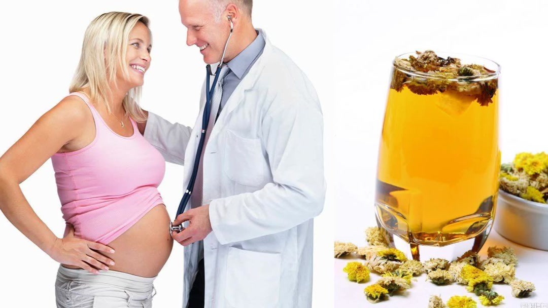孕妇能喝菊花茶吗--美妈养成记