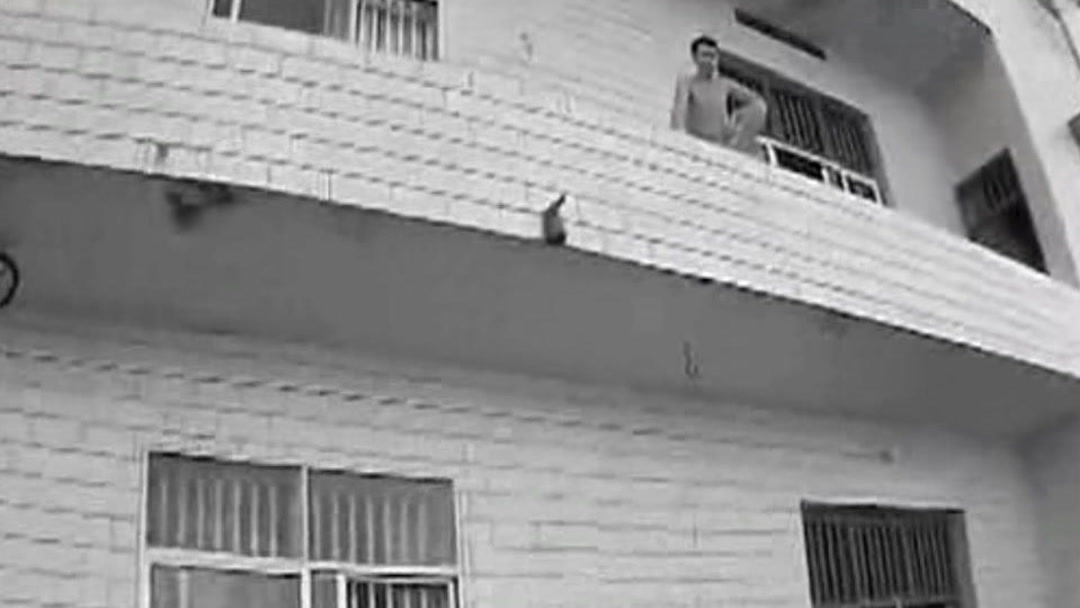 男子拒不履行一万多块的执行标的,法院上门拘传,他竟要跳楼抵抗