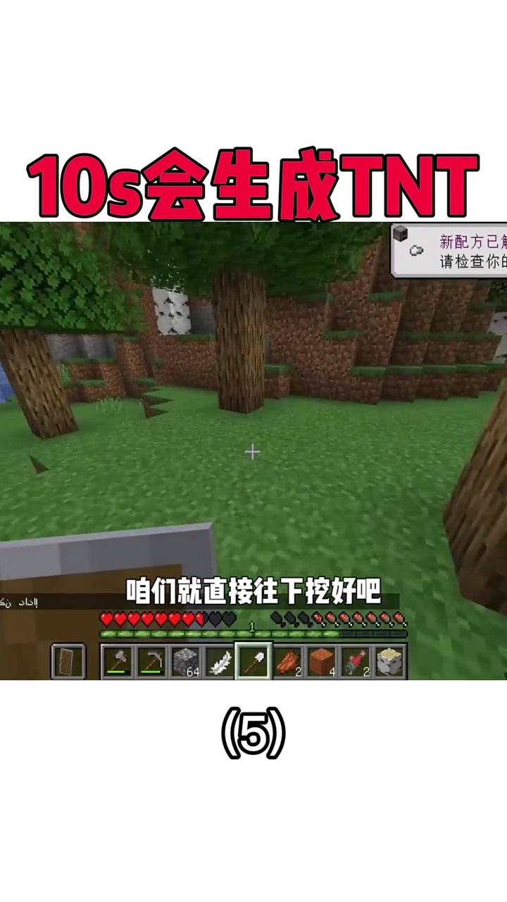 每过10s就会在脚底下生成一个TNT(5)