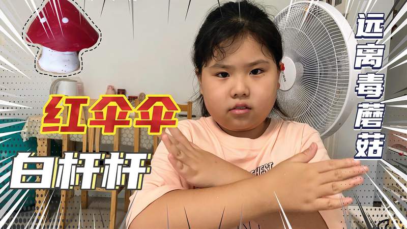 红伞伞白杆杆,吃完一起躺板板,网络神曲也太洗脑了