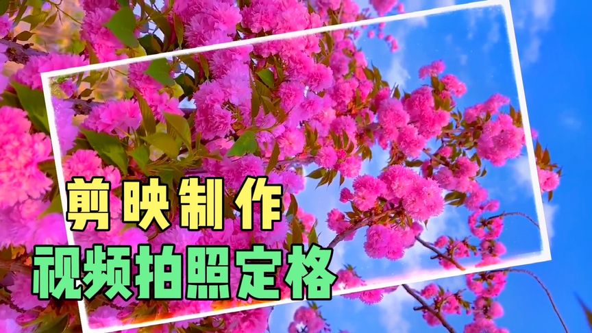 剪映制作视频拍照定格画面,音乐踩点配合画中画加关键帧新手可学