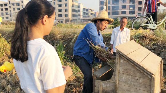 农民大哥,纯手工收稻谷,一亩多地要三天才能收完,太辛苦了!