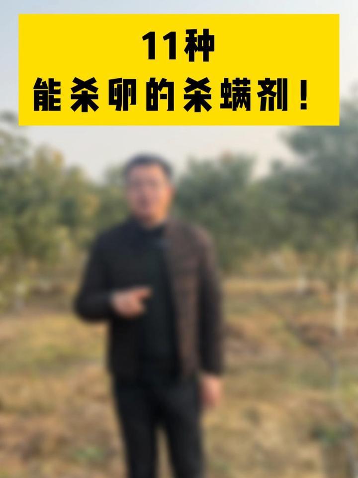 11种能杀卵的杀螨剂,种柑橘草莓等作物的农友了解一下。