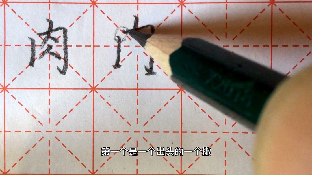“肉”字的规范书写方法