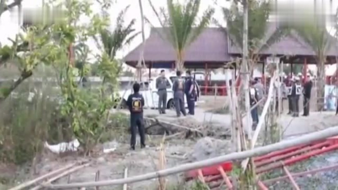 领队为救扯大象尾巴的游客 被大象活活踩死