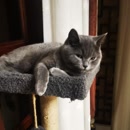 Jcccccccccccccccccccccccccccc 