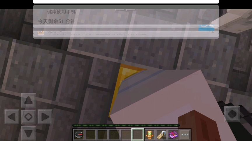 我的世界国际版服务器