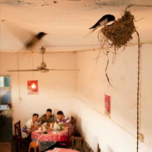 陈建平一乡宁县 