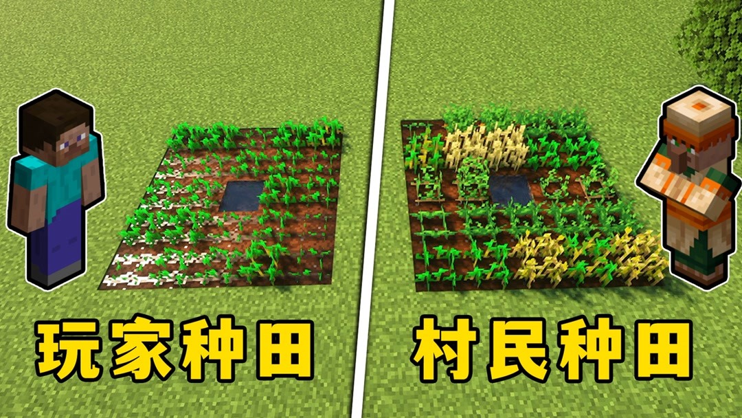 我的世界:7个生存小技巧,向村民学习如何种田