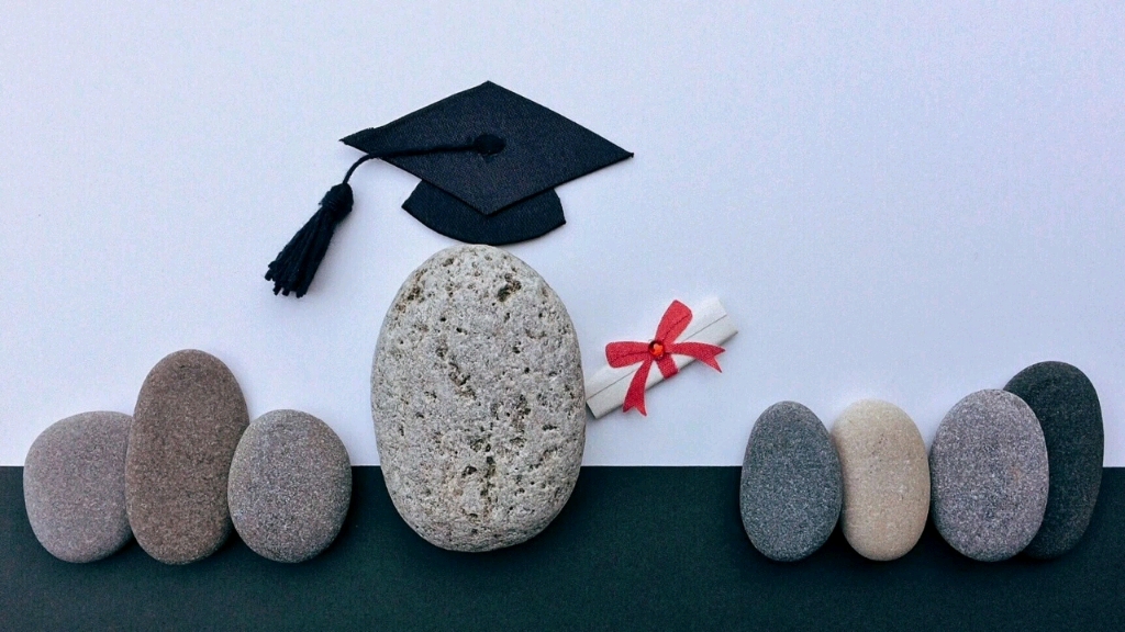 目前我国最高的学历是什么?