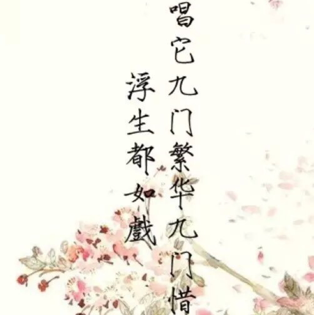Dee药菂 