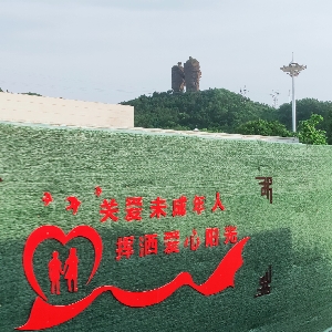 酸不溜丢的糖儿 