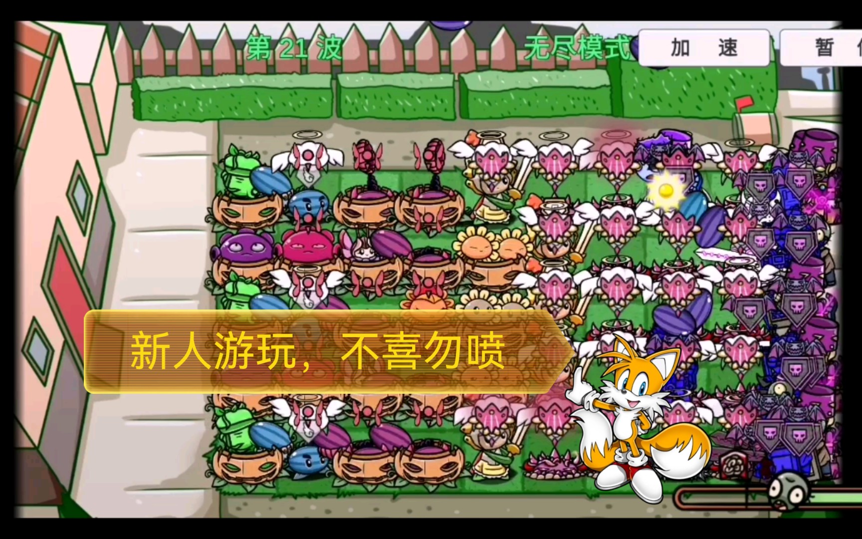《植物大战僵尸BT版》无尽模式:新人游玩,不喜勿喷