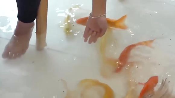 越南一家“水淹咖啡馆”火了,真的在地板上养鱼,一起见识一下吧