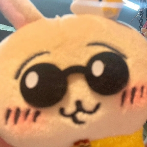 清圣祖康熙仁皇帝玄烨 