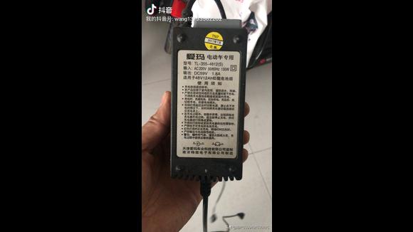 南京特能充电器 爱玛电动车原厂配套