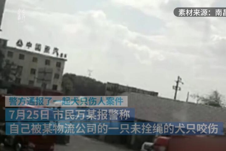 未拴绳犬只伤人 南昌一名狗主人被罚1000元