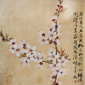 石门时光 