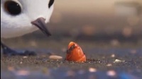 我在皮克斯动画短片《鹬》, 太治愈了心都化了截了一段小视频
