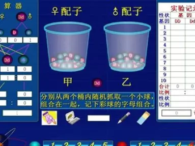 谭世忠_虚拟实验10_性状分离比的模拟