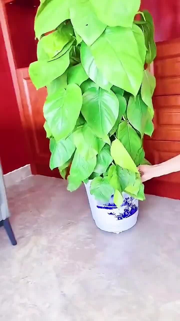 有了这个万向滑轮家里任何东西都能滑动打扫卫生也方便多了实用好物...