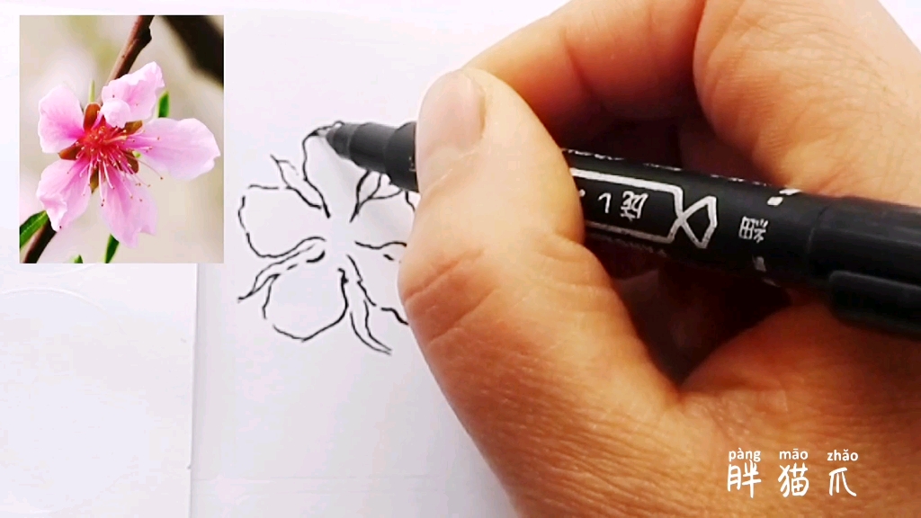 【线描】春天的花花手绘针管简笔画