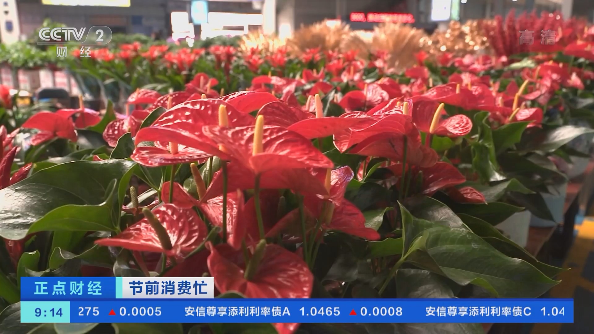 [正点财经]节前消费忙 山东高密:春节将至 各式春联销量旺