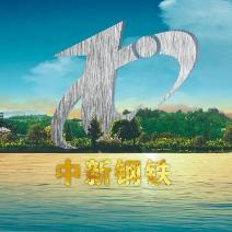 中新钢铁李文 