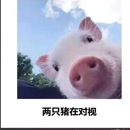 萧天真 