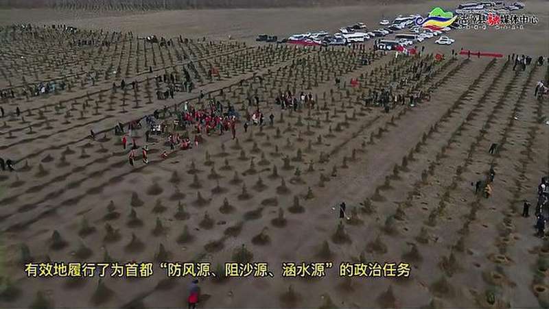 微视频:义务植树,不负春光