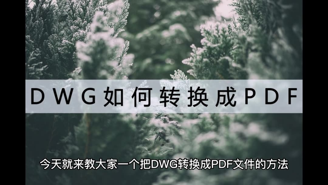 DWG和PDF之间有没有相似之处?怎么转换