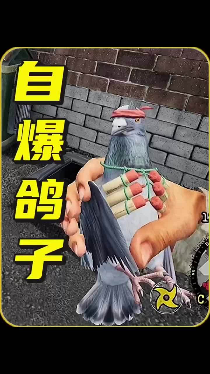 流浪汉模拟器:自爆鸽子手里剑