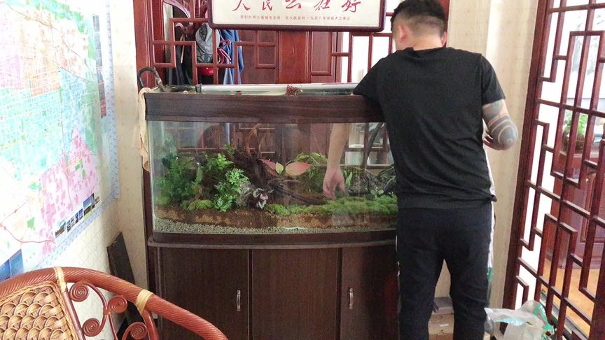 改造个旧鱼缸#室内景观 #石家庄景观设计 #餐饮设计