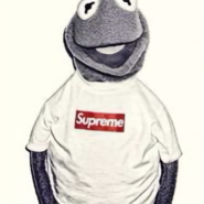 爱电影的小二哈 