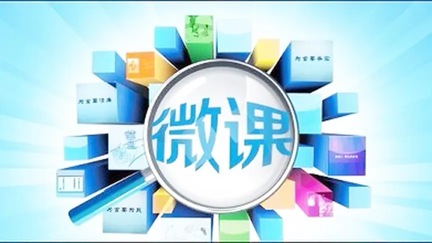 英语学科 play的用法《全国微课大赛一等奖作品》