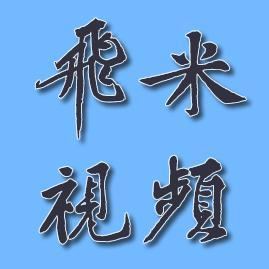 飞米视频 