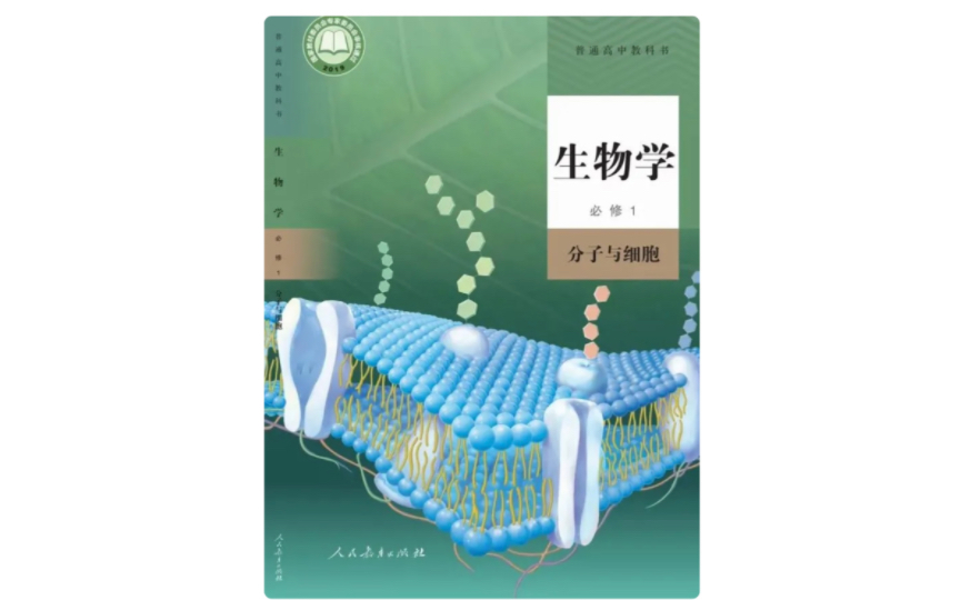 第6章细胞的生命历程 第2节细胞的分化高中生物 《必修一》问题引导 ...