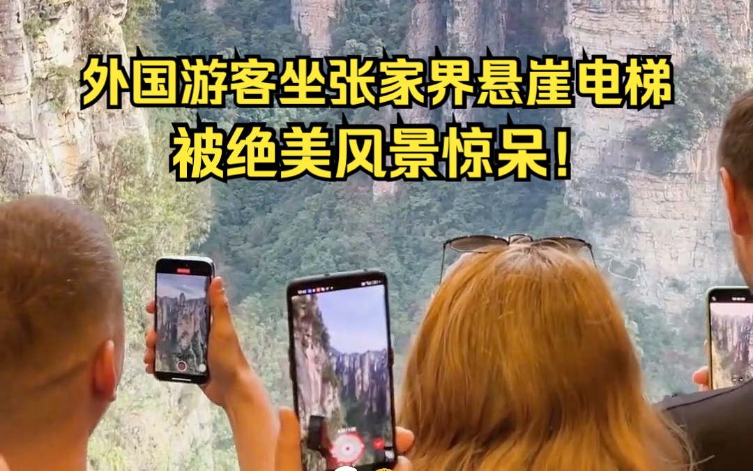 外国游客乘坐张家界悬崖电梯,被绝美仙境惊呆!