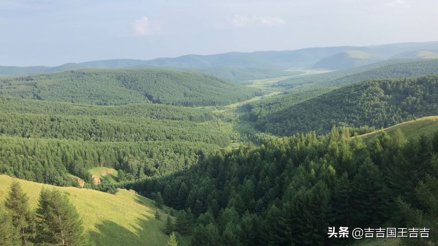 塞罕坝机械林场