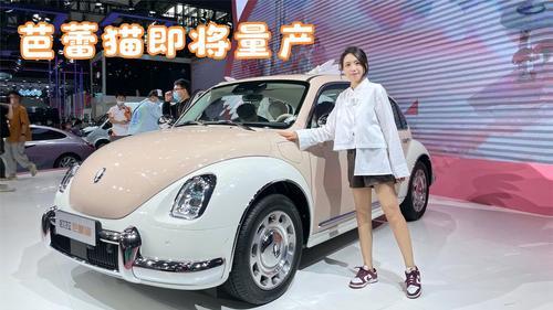 芭蕾猫即将量产,20多万能获百万回头率