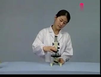 学习交流:初中生物实验练习使用显微镜