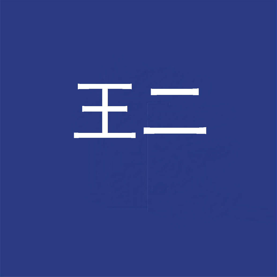 王二游戏解说 