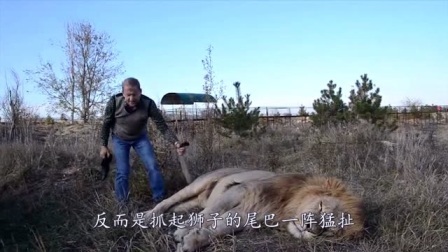 老外作死,直接脱皮鞋打熟睡的雄狮,二十秒后群众吓懵了!