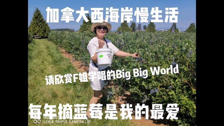 开园去摘超大的蓝莓。请欣赏Big Big World英文歌(F姐学唱)